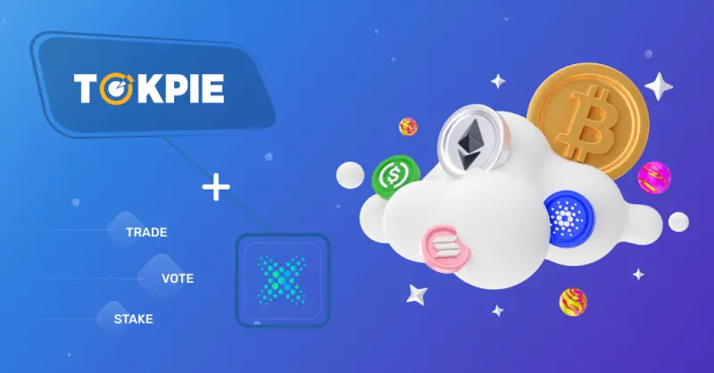 Tokpie | BITFLEX