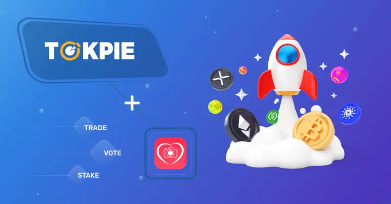 Tokpie | Octus Social Media Marketing